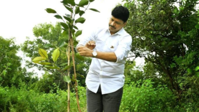 BRS MP Santosh adopts 1,000 acres of Kondagattu for forest development | Hyderabad News - Times ...