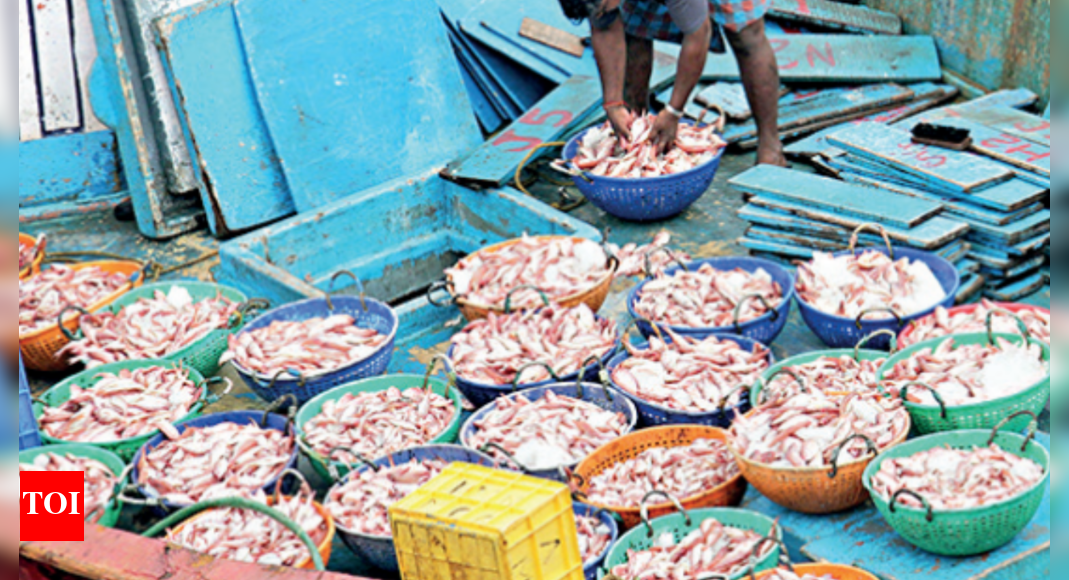 Madhya Pradesh: Mp Doubles Fish Production In Last 5 Years | Bhopal ...