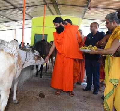 Yoga guru for cow shelters in every Goan household | Goa News - Times ...