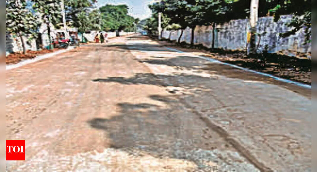 Strategic Nala Development Plan phase I to finish by March in Hyderabad ...
