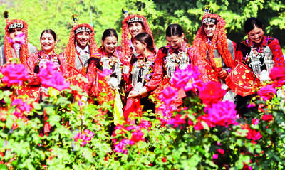 Artists Enthrall Audience On Day 2 Of Rose Fest | Chandigarh News ...