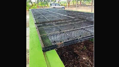 Six-month-old vermicompost pit rids Mumbai University's Kalina campus ...