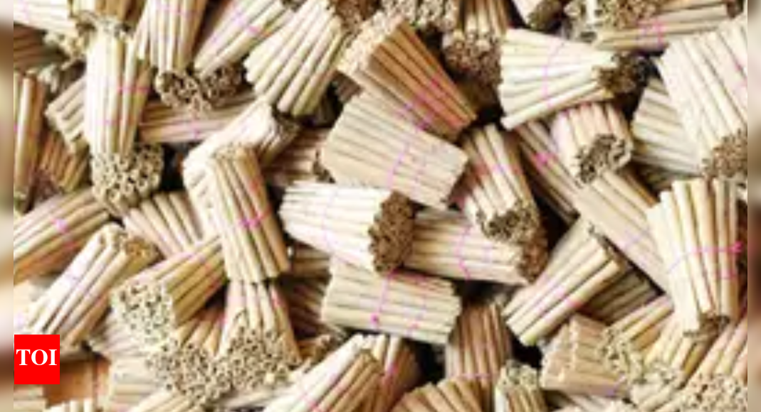Beedi Commission For Contractors Hiked By ₹2.6 | Mangaluru News - Times ...