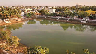 How a dying pond was revived by like-minded citizens | Chennai News ...