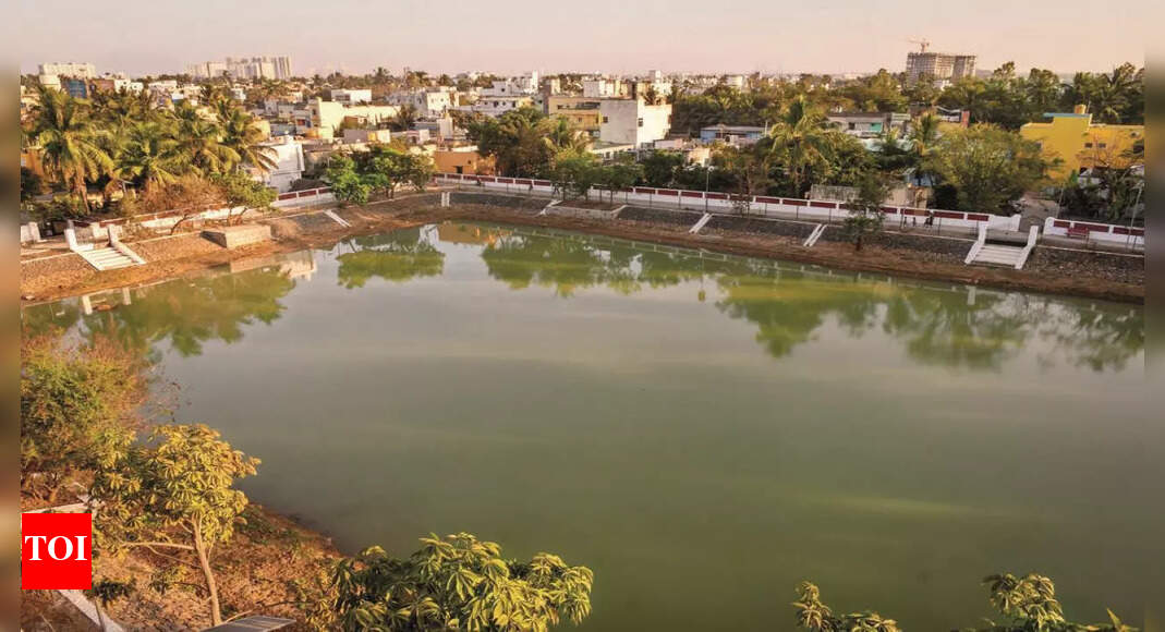 How a dying pond was revived by like-minded citizens | Chennai News ...