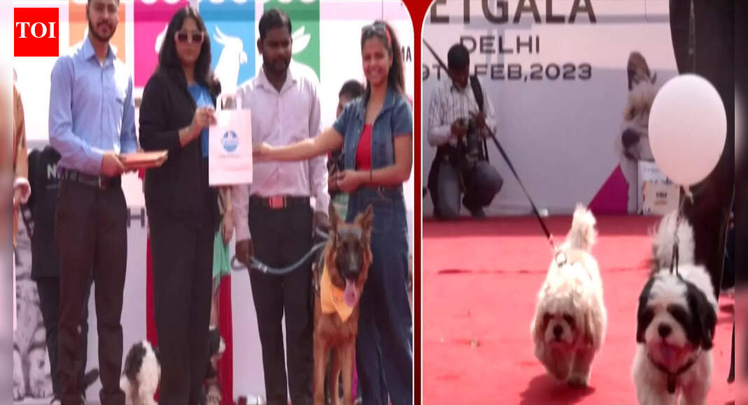 UP: Pet Gala Event for pets organised in Noida