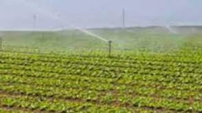 Pullalacheruvu: Irrigation Scheme To Reach Pullalacheruvu | Amaravati News - Times of India