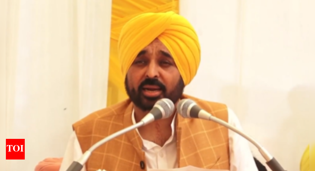 Campaign for release of 'Bandi Singhs': Punjab CM Bhagwant Mann hits ...