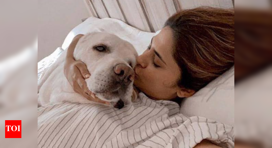 Jennifer Winget pens down a heartfelt note as her dog Breezer passes ...