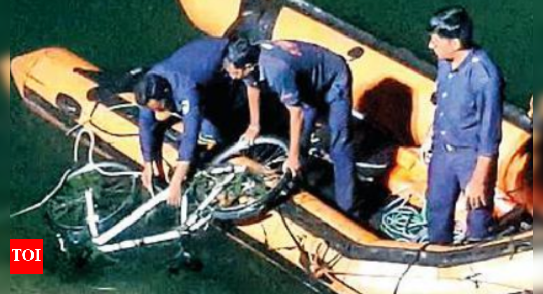 Class XII student drowns while taking selfie in Vadodara | Vadodara ...