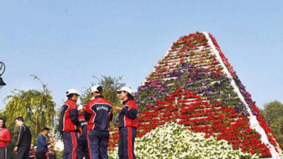 Colours of G20: NDMC goes artistic with flowers | Delhi News - Times of ...