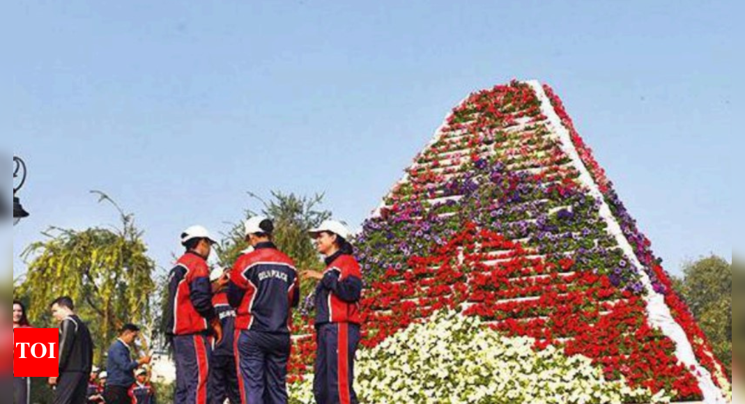 Colours of G20: NDMC goes artistic with flowers | Delhi News - Times of ...