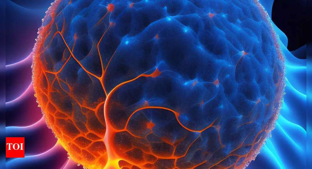 Scientists make breakthrough for 'next generation' cancer treatment ...
