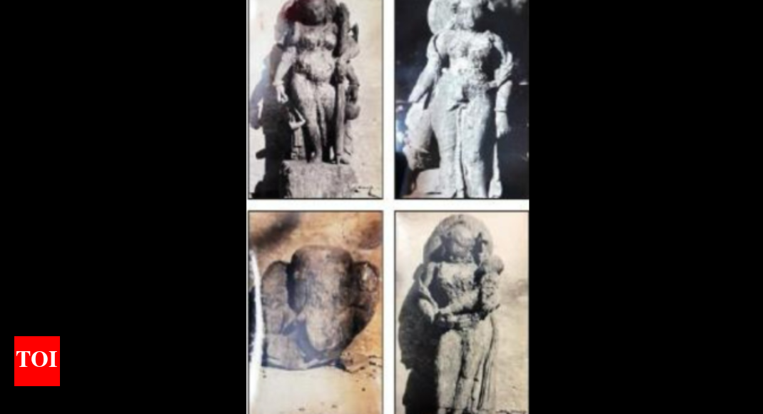 Guhila Dynasty idols of Hindu gods, smuggled to US in 60s, on way back ...