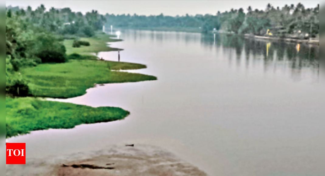 Dip In Periyar Water Level May Disrupt Supply This Summer | Kochi News ...