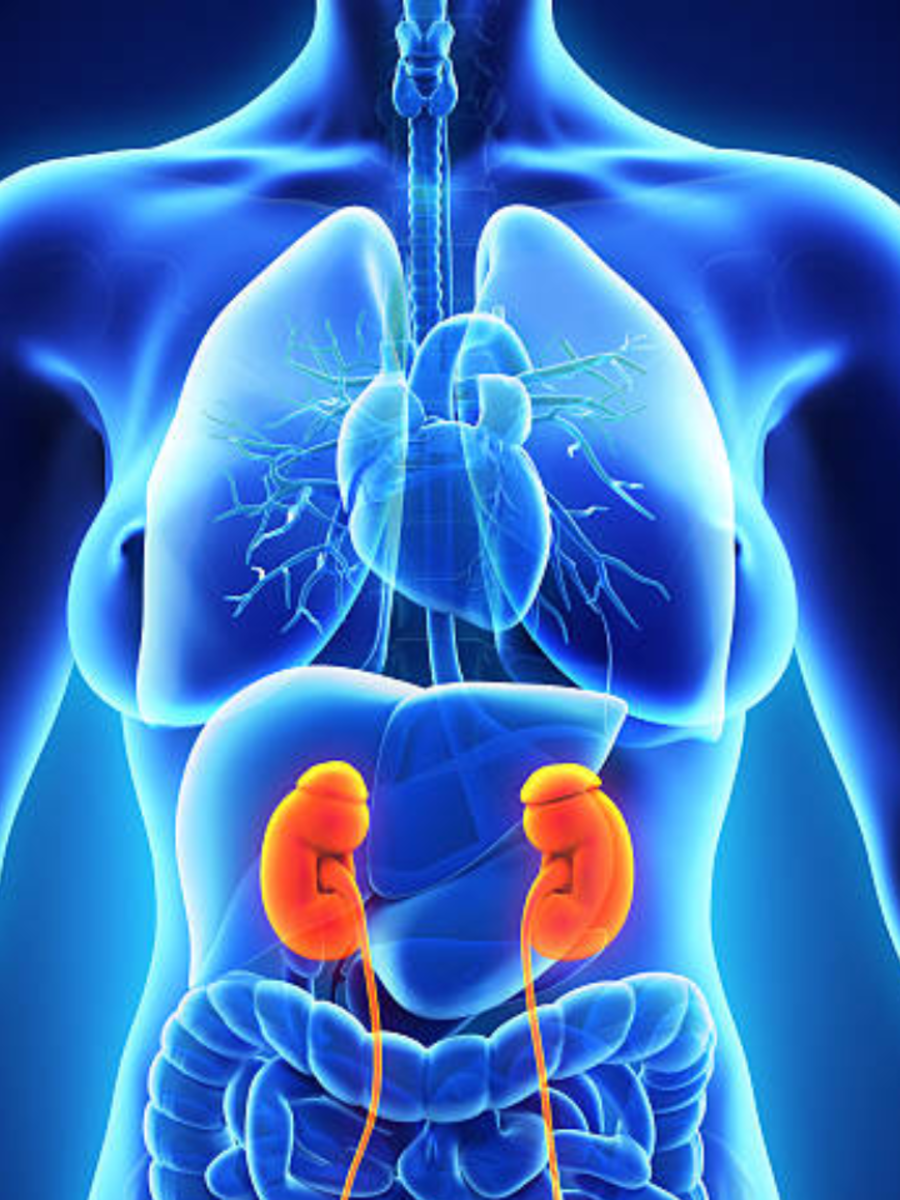 Ways to keep your kidneys healthy | Times of India