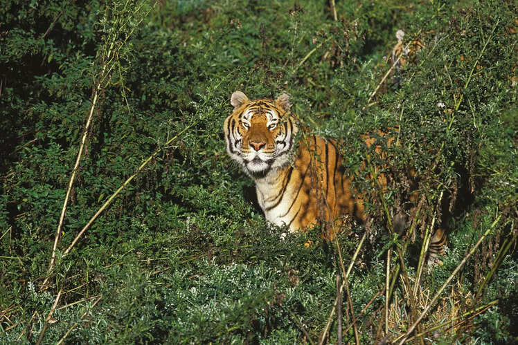 Bihar tourism - beautiful photos of the state | Times of India Travel
