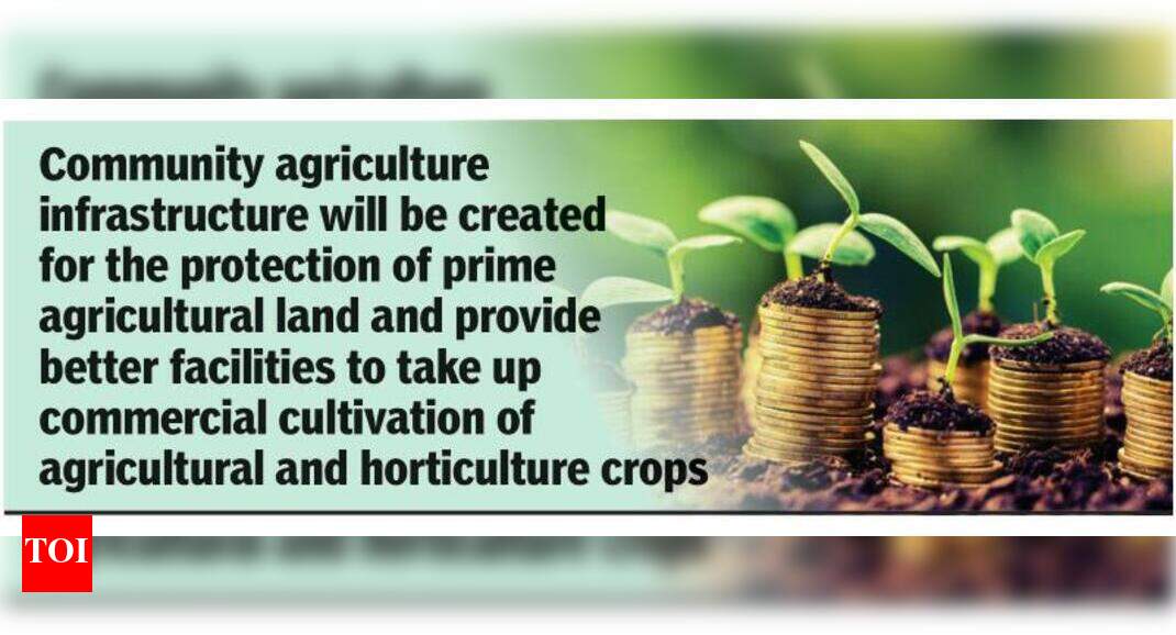 With consultant on board, govt plans to bring fallow land under ...