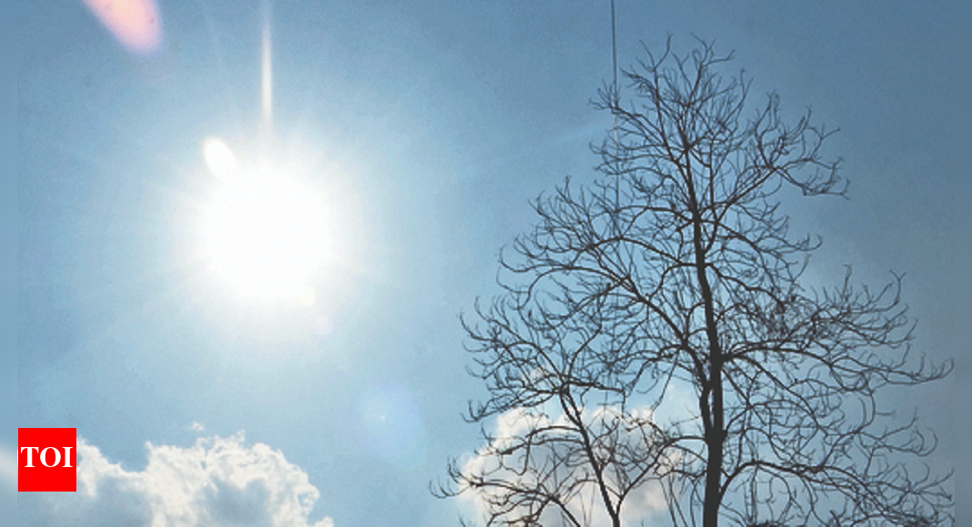 Ahmedabad's maximum temperature at 34.9°C | Ahmedabad News - Times of India