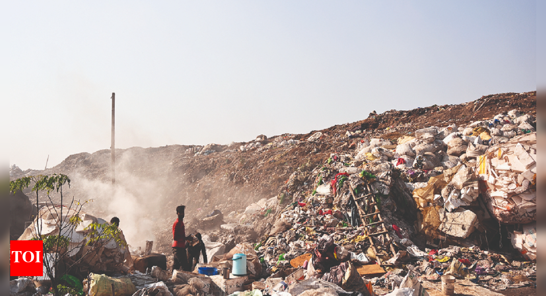 Non-segregation Of Waste: 1,800 Challaned In 3 Days | Chandigarh News ...