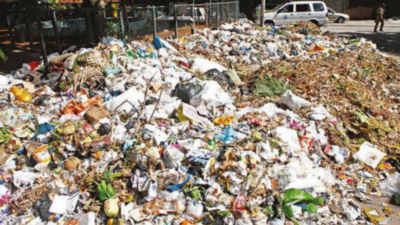 Plant to produce bio-CNG using organic waste; tender floated in ...