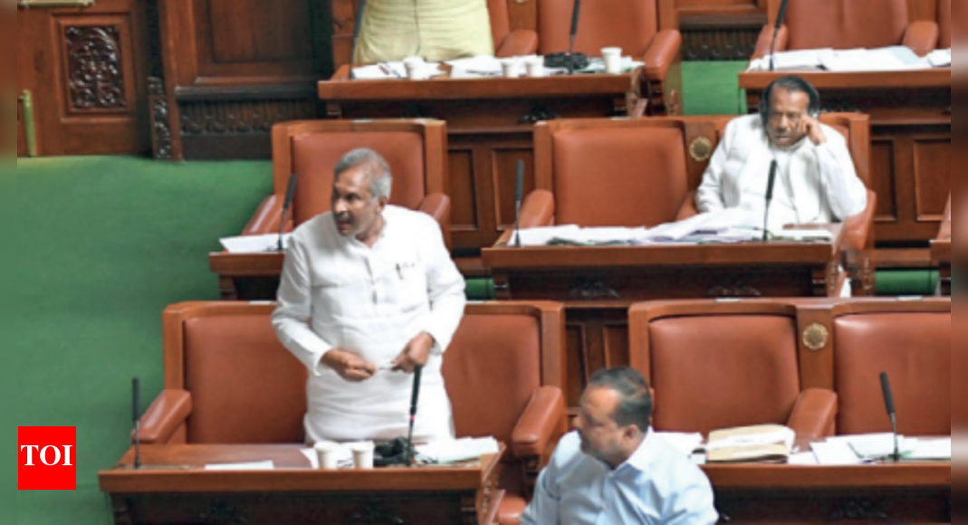 Karnataka govt doubles monthly relief to Rs 1,000 for women landless ...