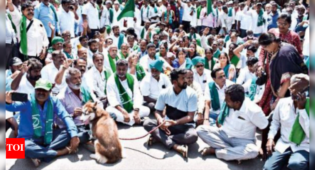 Hundreds Of Farmers Lay Siege To Mandya Dc’s Office | Mysuru News ...