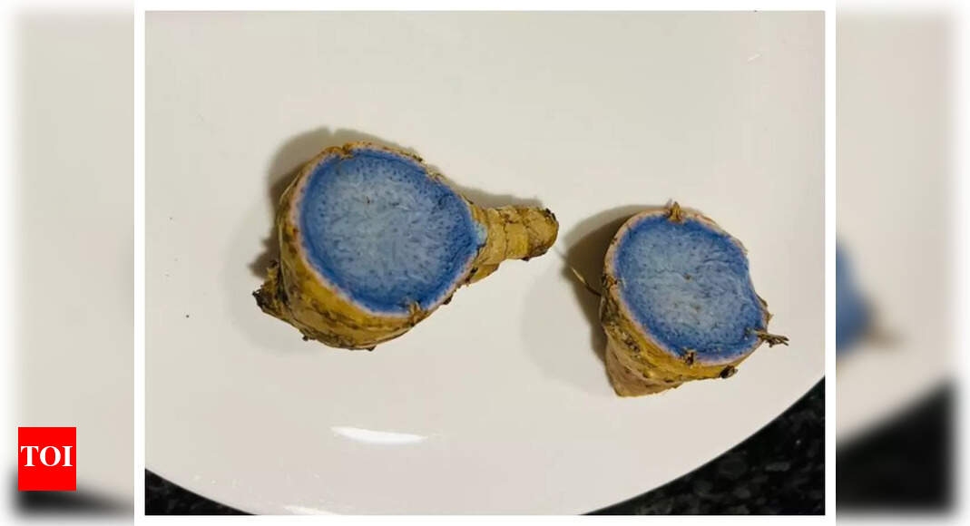 Viral Blue Ginger is driving the internet nuts: This is what it is ...