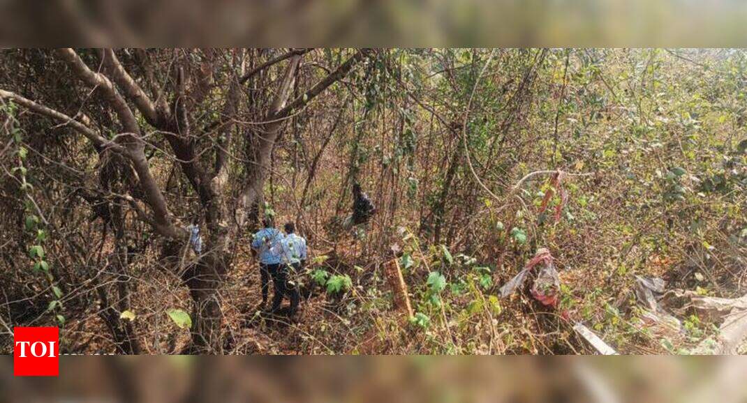 Desainagar wakes up to bison, drives them away after 5 hours | Goa News ...