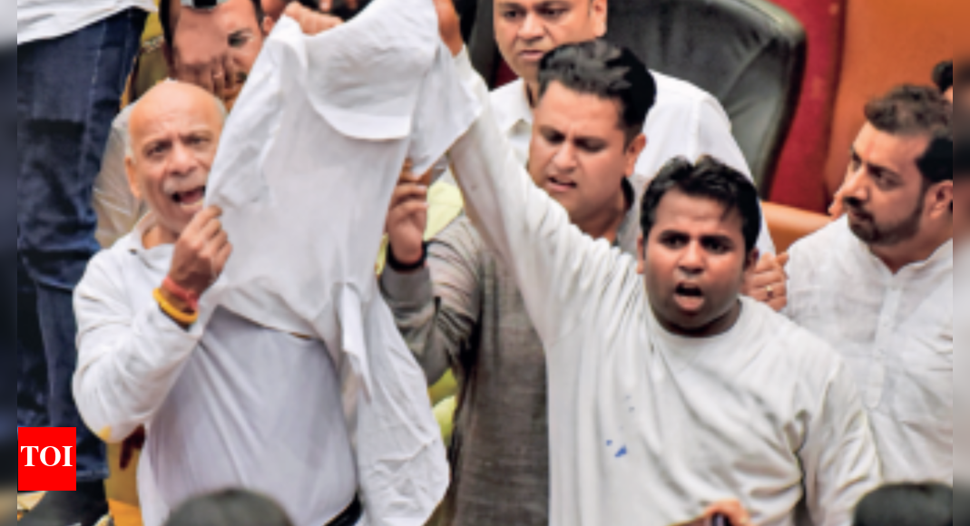 All or nothing: Cross-voting and a 'decider' | Delhi News - Times of India