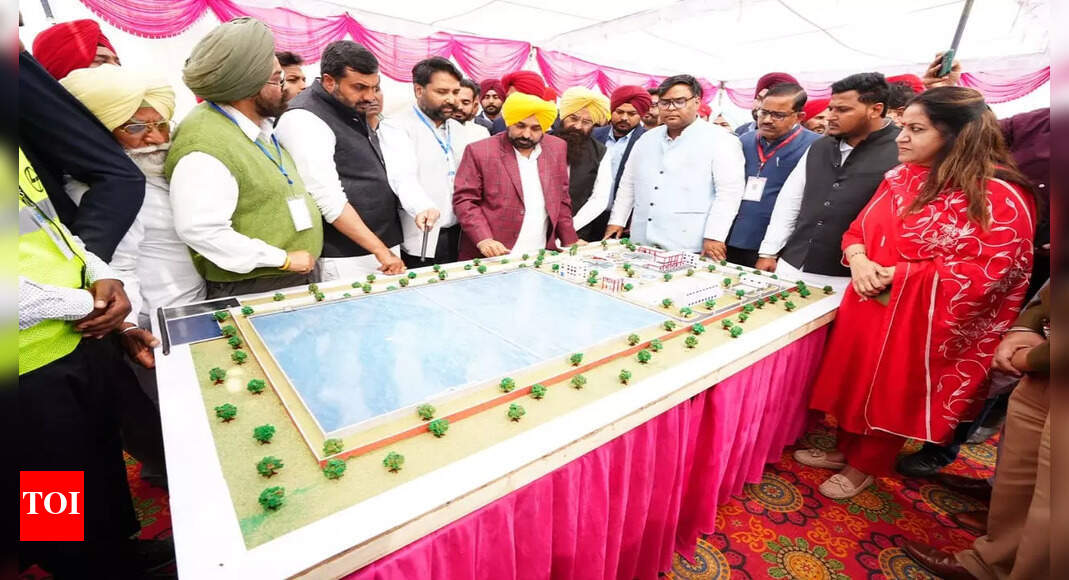 Foundation stone for canal water-based project laid in Punjab's ...
