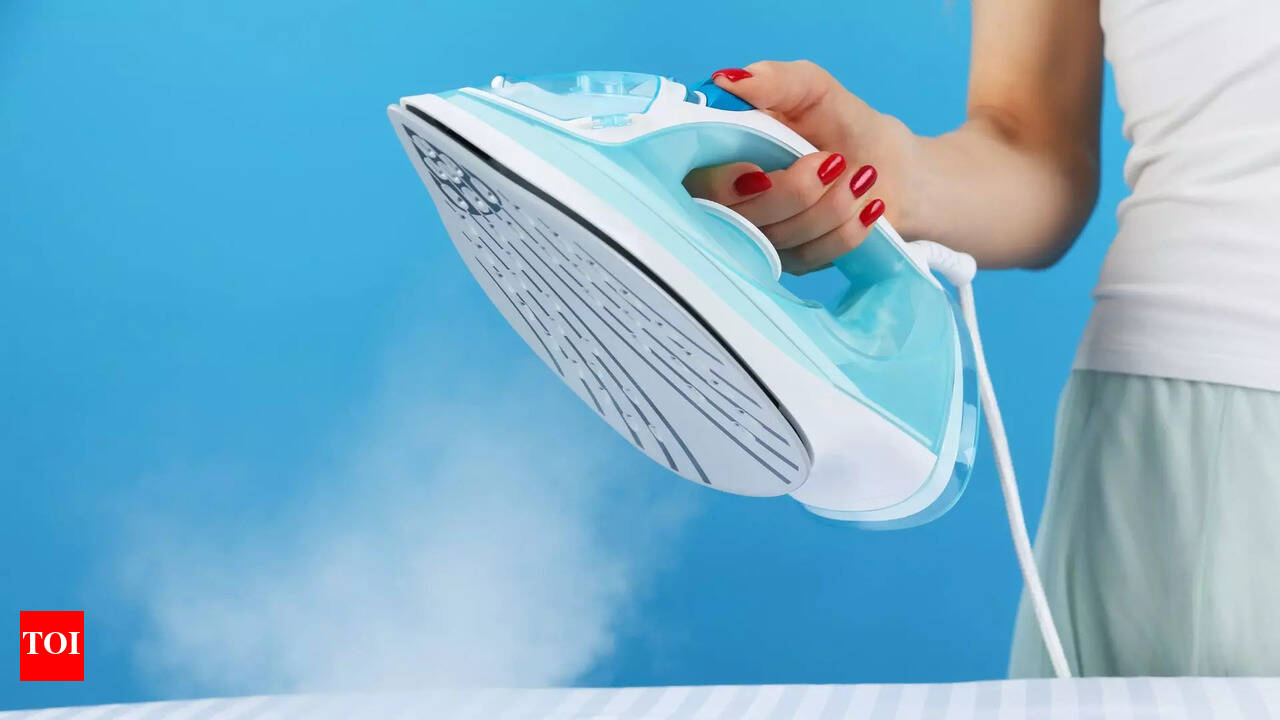 Top steam irons store