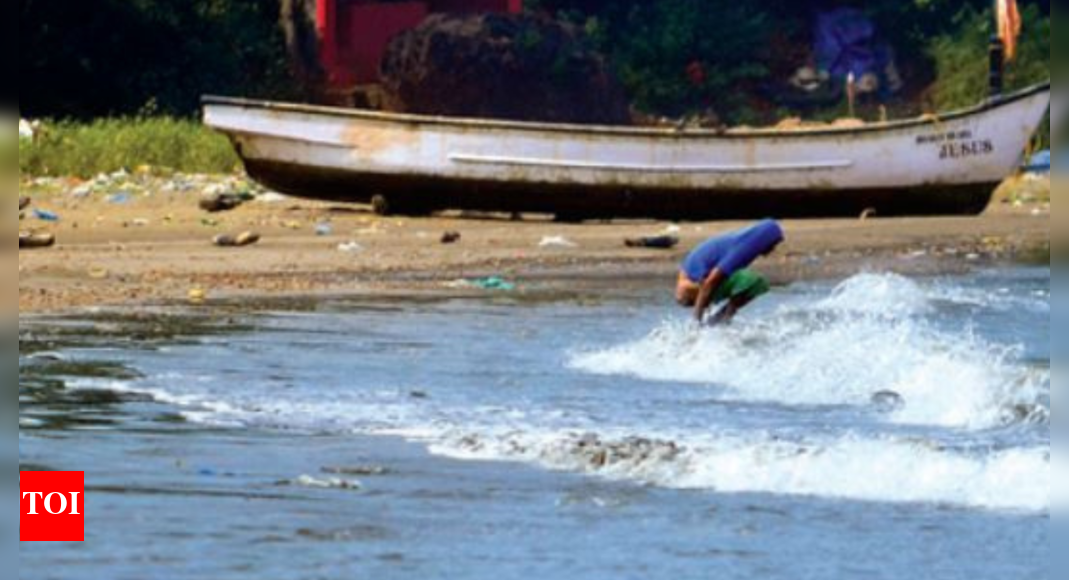 5 years after getting tag, Goa sets 2024 target to be ODF | Goa News ...