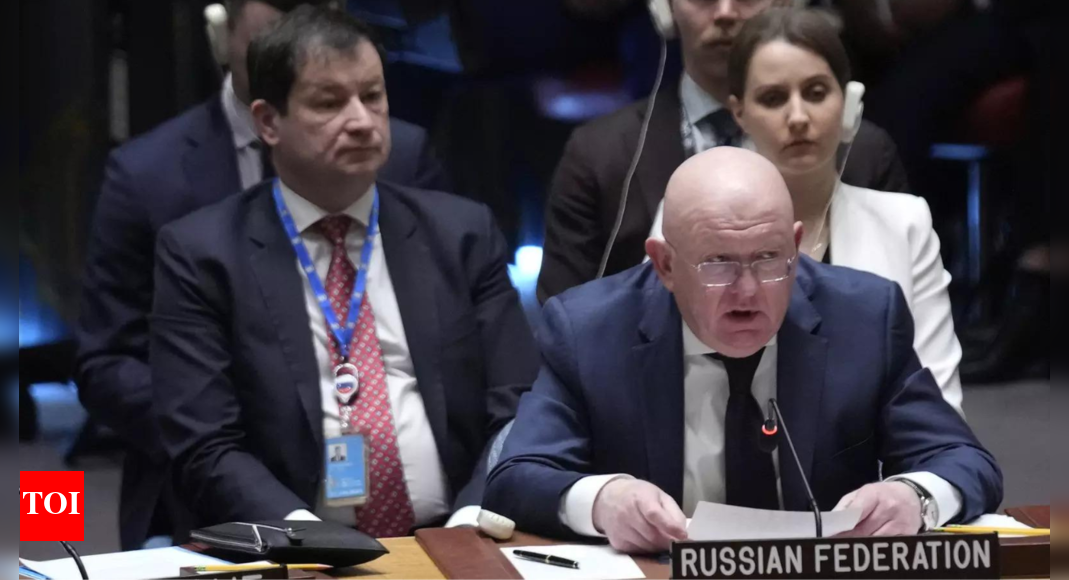 West: Russia's UN diplomat accuses West of arm twisting in vote ... West: Russia's UN diplomat accuses West of arm twisting in vote ...