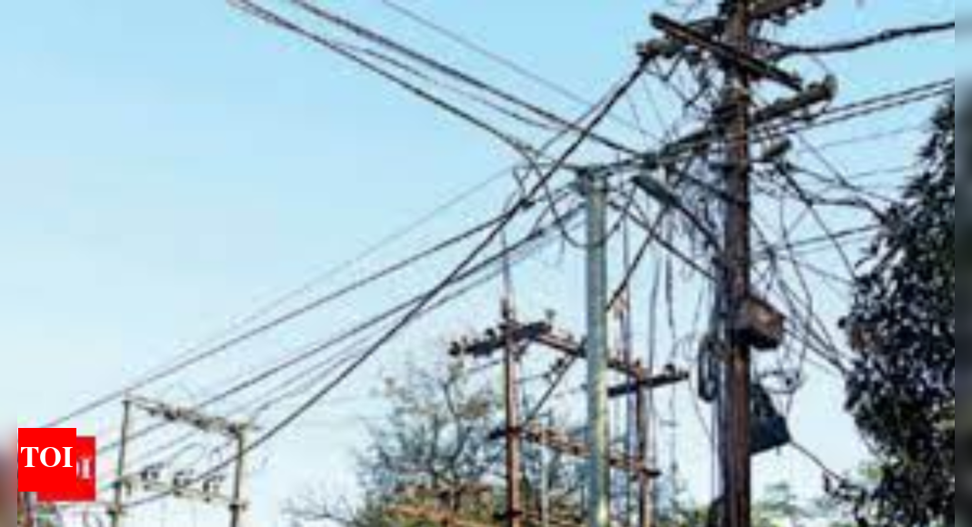 No Bamboo For Overhead Wires: Mp | Lucknow News - Times of India