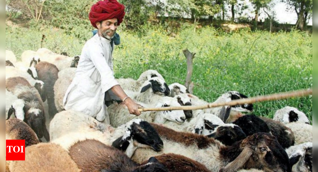 Lone Mango: Left With Lone Mango Tree: Village Makesa Register And ...