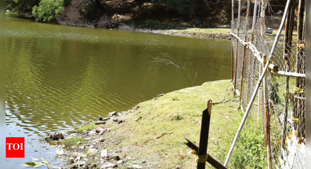 Pwd: PWD: Measure Futala, Nagpur Municipal Corporation, cops should act ...