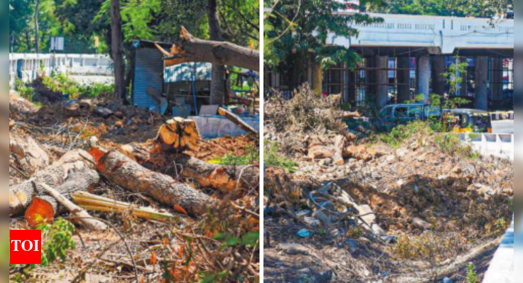 In Chennai, trees on Anna Salai felled to renovate Gemini flyover area ...
