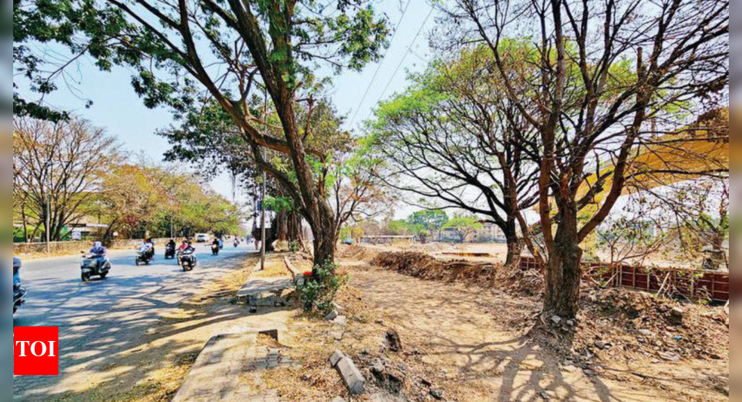 Pmc: Pune Municipal Corporation gets permission to cut 266 trees for ...