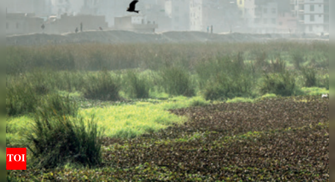 Delhi fares poorly on protected areas, but scores well on diversity of ...