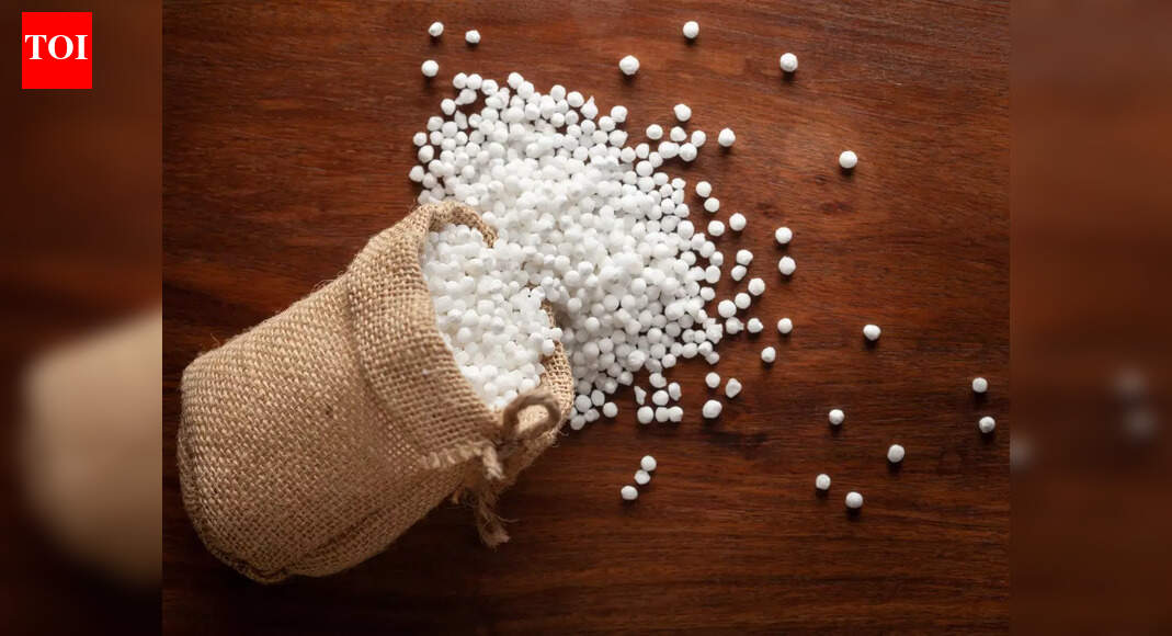 From Farm to Table: Step by Step process of making Sabudana in India