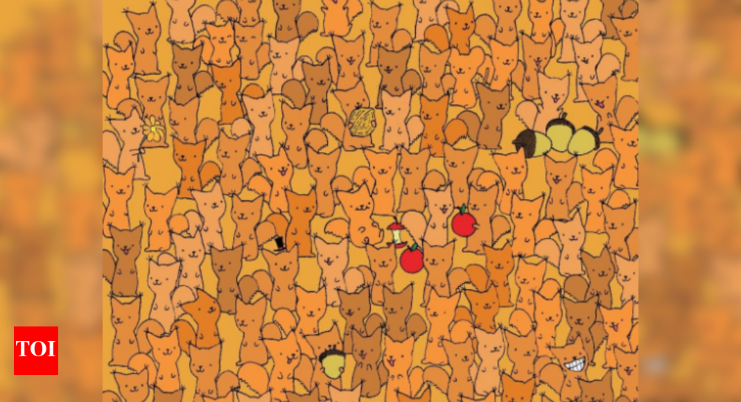 Challenge: Find the mouse hidden amongst the squirrels; you only have ...