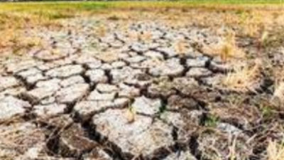 Project to store rainwater to fight drought in south Bihar | Patna News ...