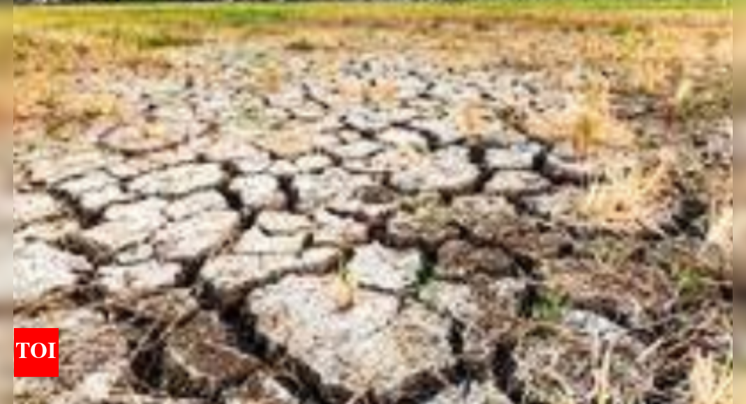 Project to store rainwater to fight drought in south Bihar | Patna News ...