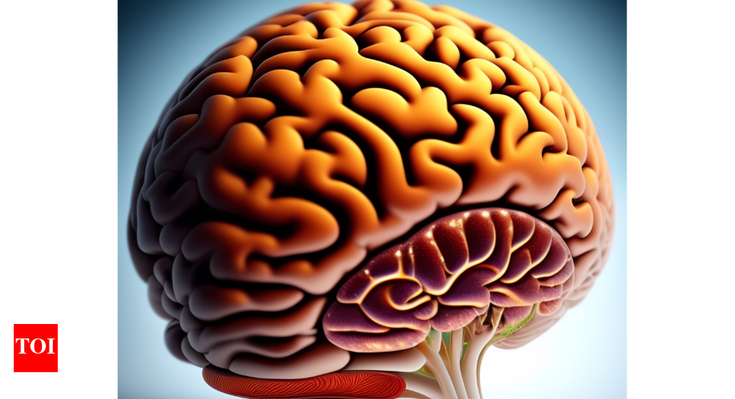 Social deficits, seizures in autism type linked to overactive brain ...