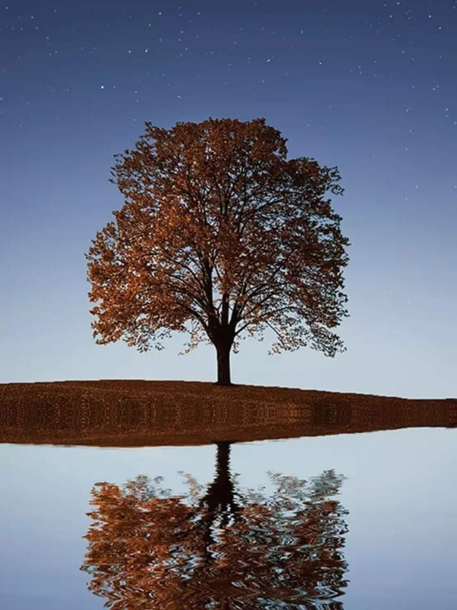 19 ways to calm yourself when feeling anxious | Times of India