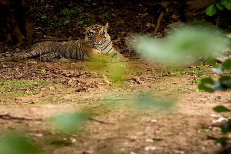 Pretty getaways from Delhi, which are not in Himachal | Times of India ...