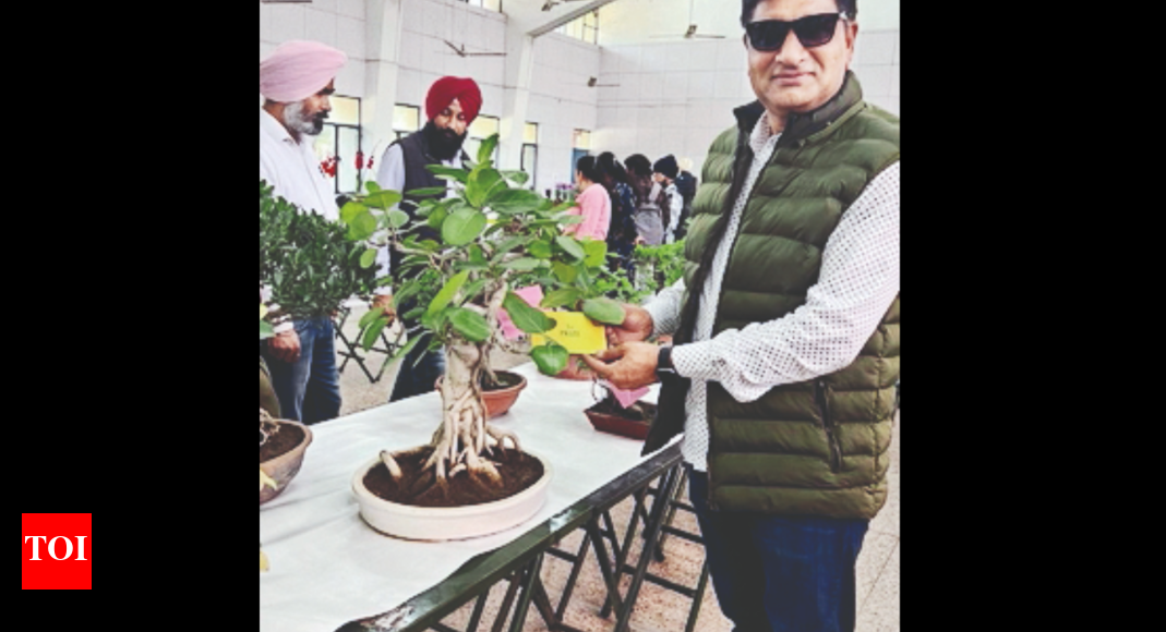 Pau: Pau Campus Comes Alive With Vibrant Hues & Sights | Ludhiana News ...