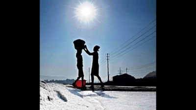 Will use salt pan lands for Mumbai slum rehabilitation: Devendra ...