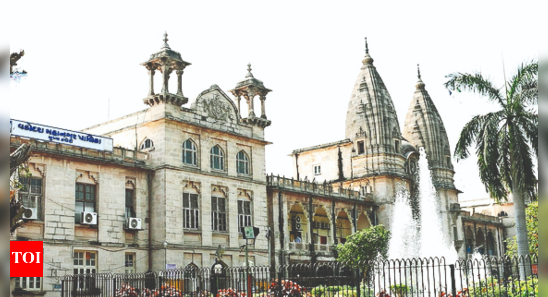 Attack On Cattle Team: 4 Detained Under Pasa | Vadodara News - Times of ...